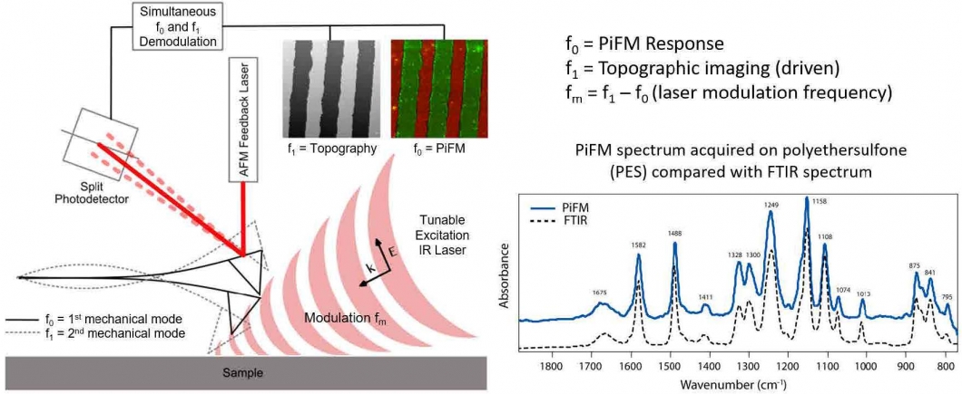 Nano Infrared (IR) Photo-induced Force Microscopy (PiFM)