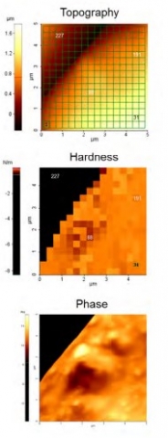 Textile Nanocharacterization: Topography, Phase Imaging, and ...