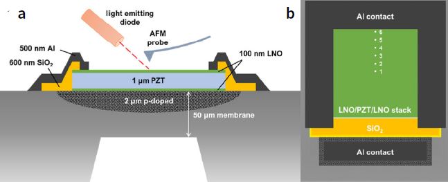 Characterizing Displacement And Voltage Induced On A Piezo/Photodiode ...